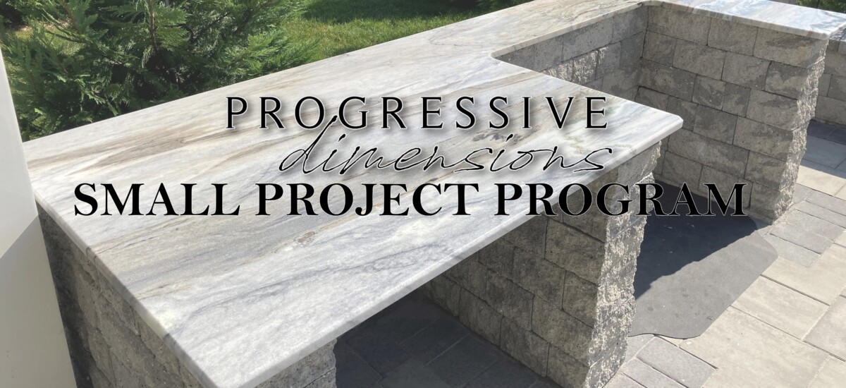 small project program - Progressive Dimensions